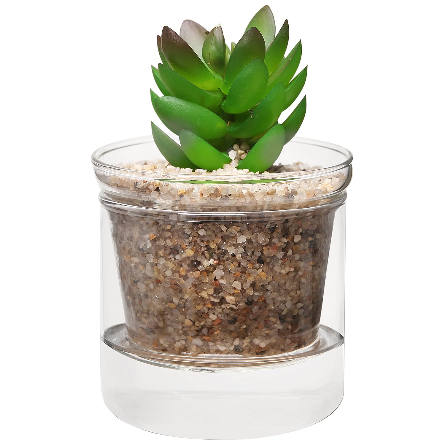 Repotting - FlyTrapCare Forums