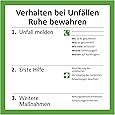 Verhalten bei Unfällen Schild | 20 x 20 cm | Aushang für Erste-Hilfe, Notfall, Verhaltensregeln ...