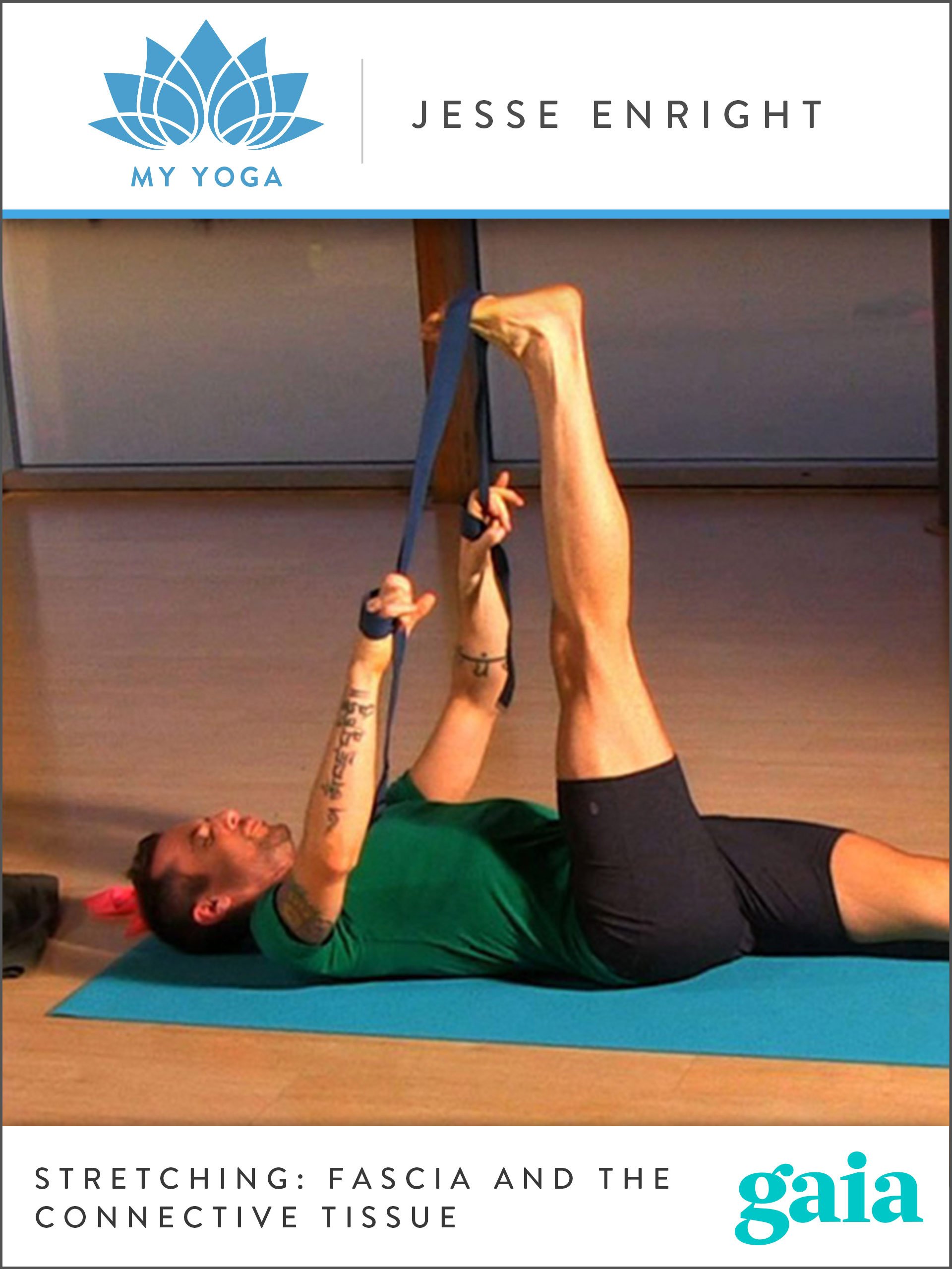 Amazon.com: Stretching: Fascia and the Connective Tissue : Shannon ...