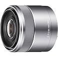 Amazon.com : Sony SEL30M35 30mm f/3.5 e-mount Macro Fixed Lens : Camera ...