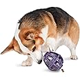 Pet Supplies : Pet Toy Balls : PetSafe Busy Buddy Kibble Nibble - Dog ...