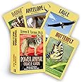 Power Animal Oracle Cards: Practical and Powerful Guidance from Animal ...