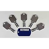 Hyster 186304 2 Piece Hyster Forklift Key Set: Amazon.com: Industrial ...