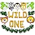 Amazon.com: Uniwish Wild One Banner 1st Birthday Boy Girl Party ...