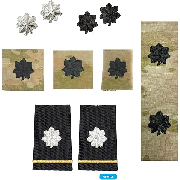 U S Army Lieutenant Colonel Patch