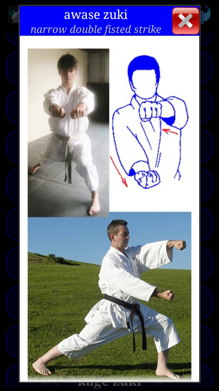 Amazon.com: Karate WKF: Appstore for Android