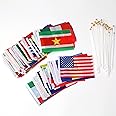 Amazon.com: 200 Countries Flags, Small Flags of the World ...