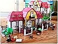 Playmobil Bricks, Multicolore, Taille Unique : Amazon.fr: Jeux et Jouets