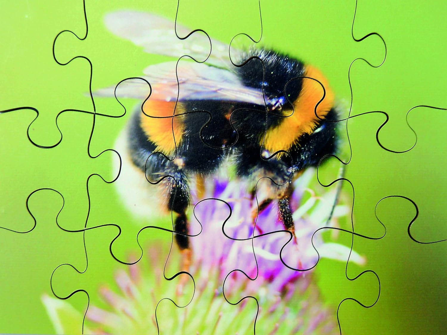 BUMBLE BEE – MINIBEASTS – Early Years Wooden Jigsaw – 15 pieces – BigaMart