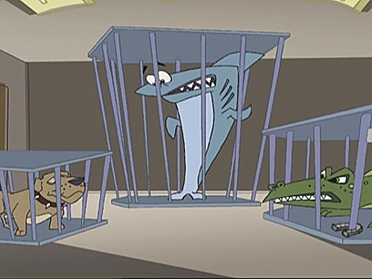 Watch Kenny The Shark - Season 1 | Prime Video
