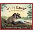 B is for Badger: A Wisconsin Alphabet (Discover America State by State ...