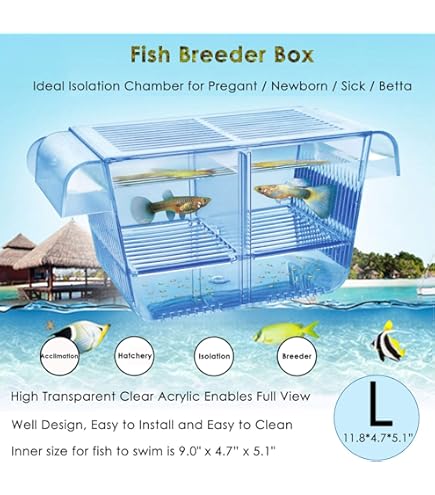 Baby Fish Separator For Tank Frcolor Box Aquarium Breeding Hatchery ...