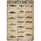 Amazon.com: Metal Tin Sign 8x12, Vintage Retro Fishing Tackle Knowledge ...