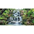 Amazon.com : AWERT 48x18 inches Waterfall Aquarium Background Forest ...