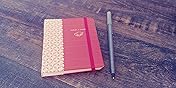 Amazon.com: What I Read (Red) Mini Journal: 8601300189048: Potter Gift ...