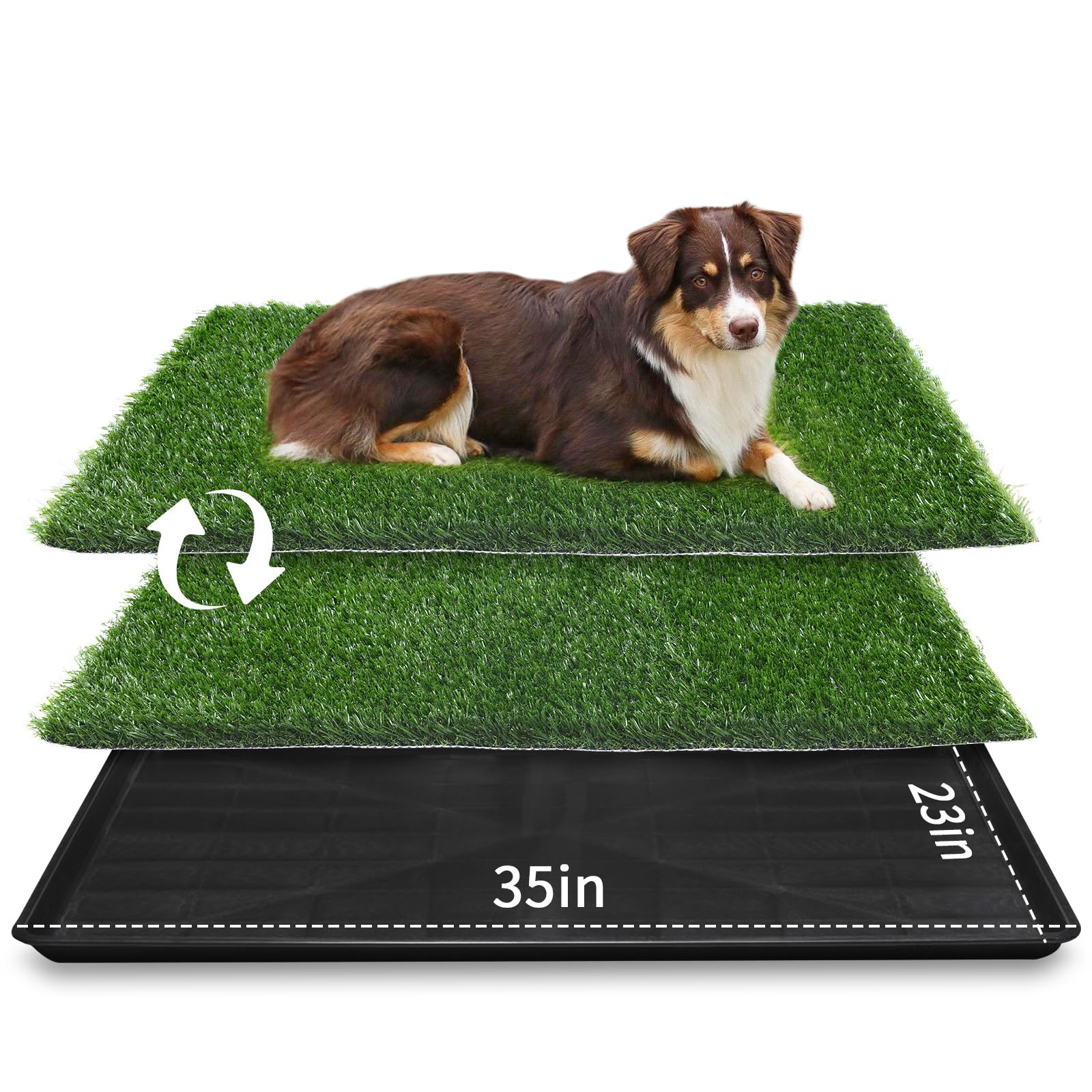 LOOBANI 35x23in Large Dog Grass Potty Tray with 2 Packs Replacement ...