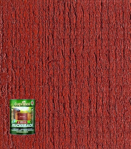 Cuprinol LMFCAR6L 6 Litre Less Mess Fence Care - Autumn Red: Amazon.co ...