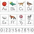 Amazon.com: Trend Photo Alphabet Cards Zaner-Bloser Manuscript Bulletin ...