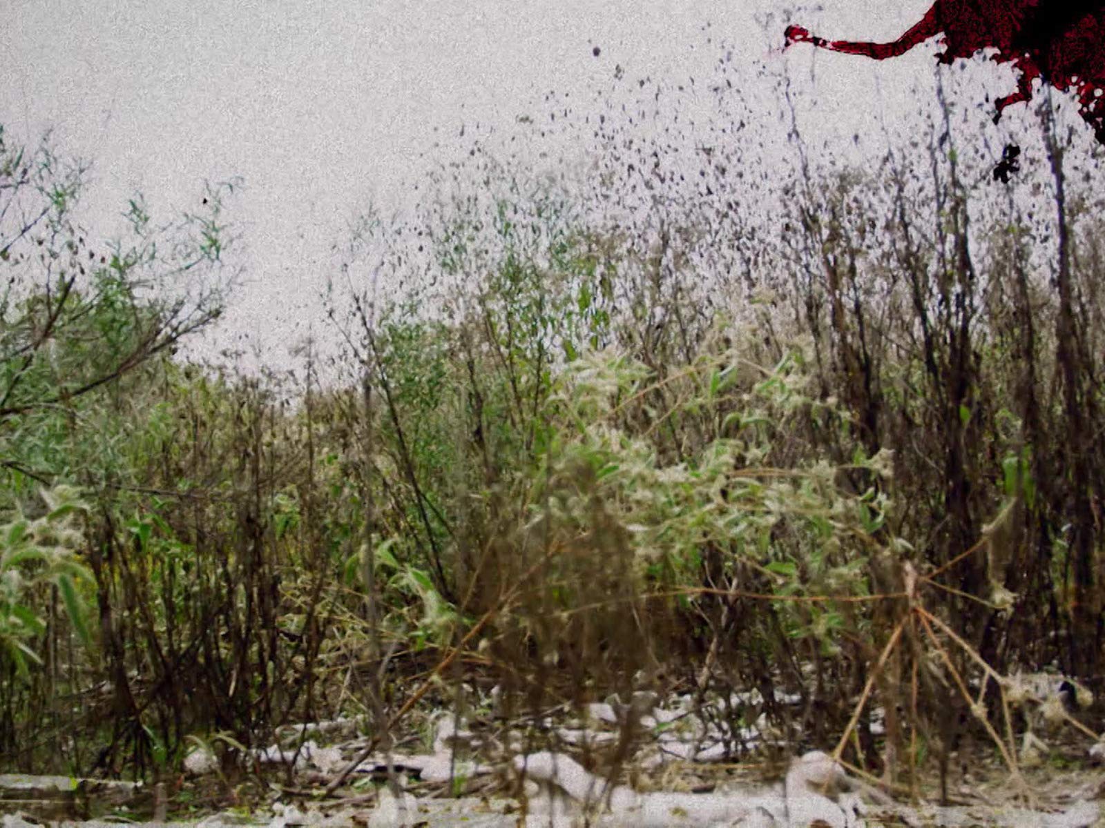 Watch Just Junie - Season 1 | Prime Video