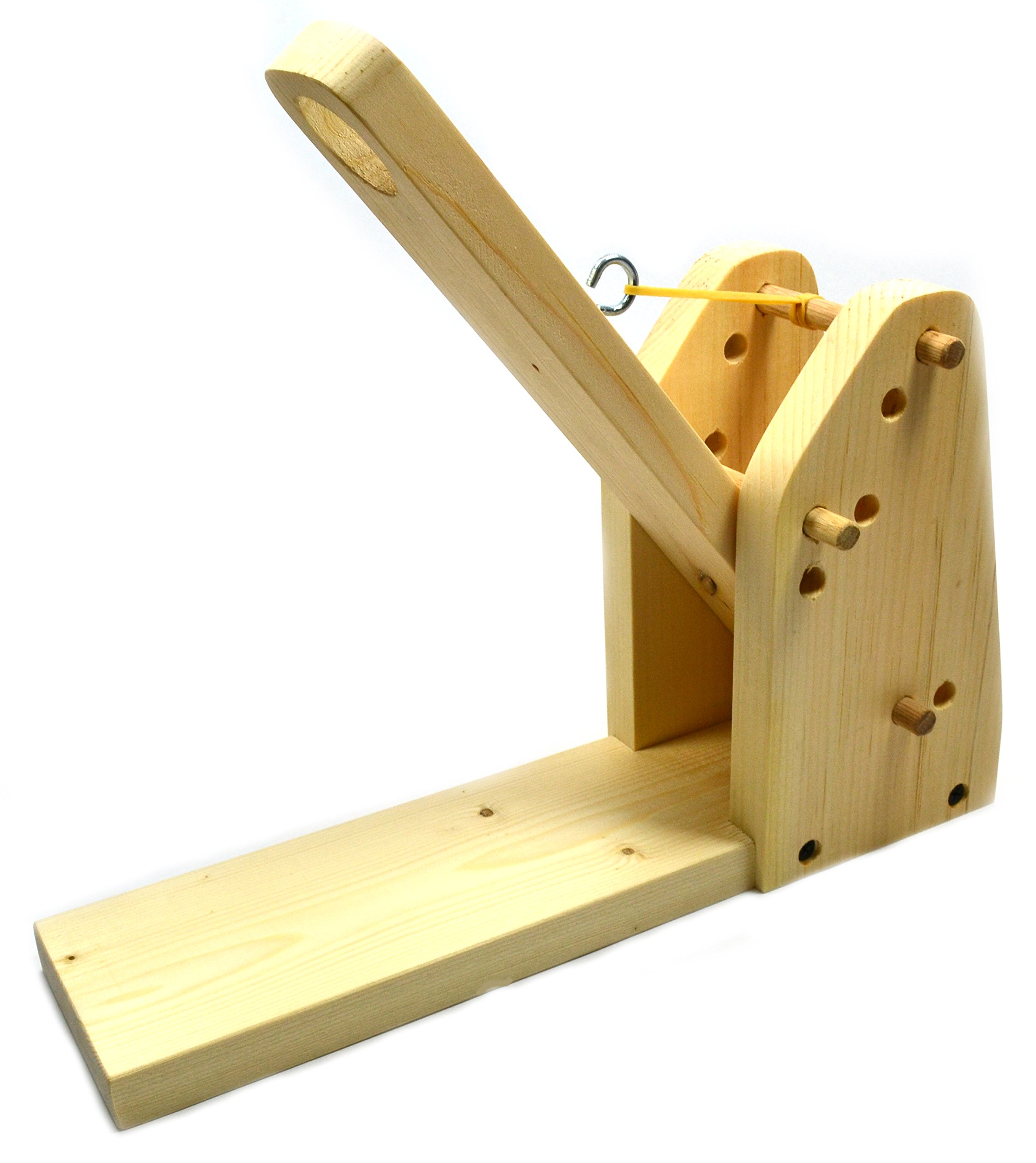 Mua EISCO Catapult Kit - Build Yourself - STEM Learning - Comes Explore ...
