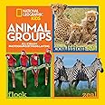 Animal Groups: Esbaum, Jill: 9781426320606: Amazon.com: Books
