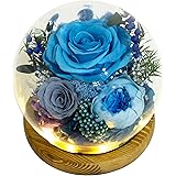 Amazon.com: Valley of Rain & Forest Long-Lasting Real Flowers, Unique ...