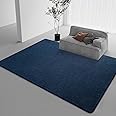 Amazon.com: DweIke Modern Navy Blue Area Rugs for Bedroom Living Room ...