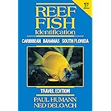 Reef Coral Identification: Florida, Caribbean, Bahamas 3rd Edition ...