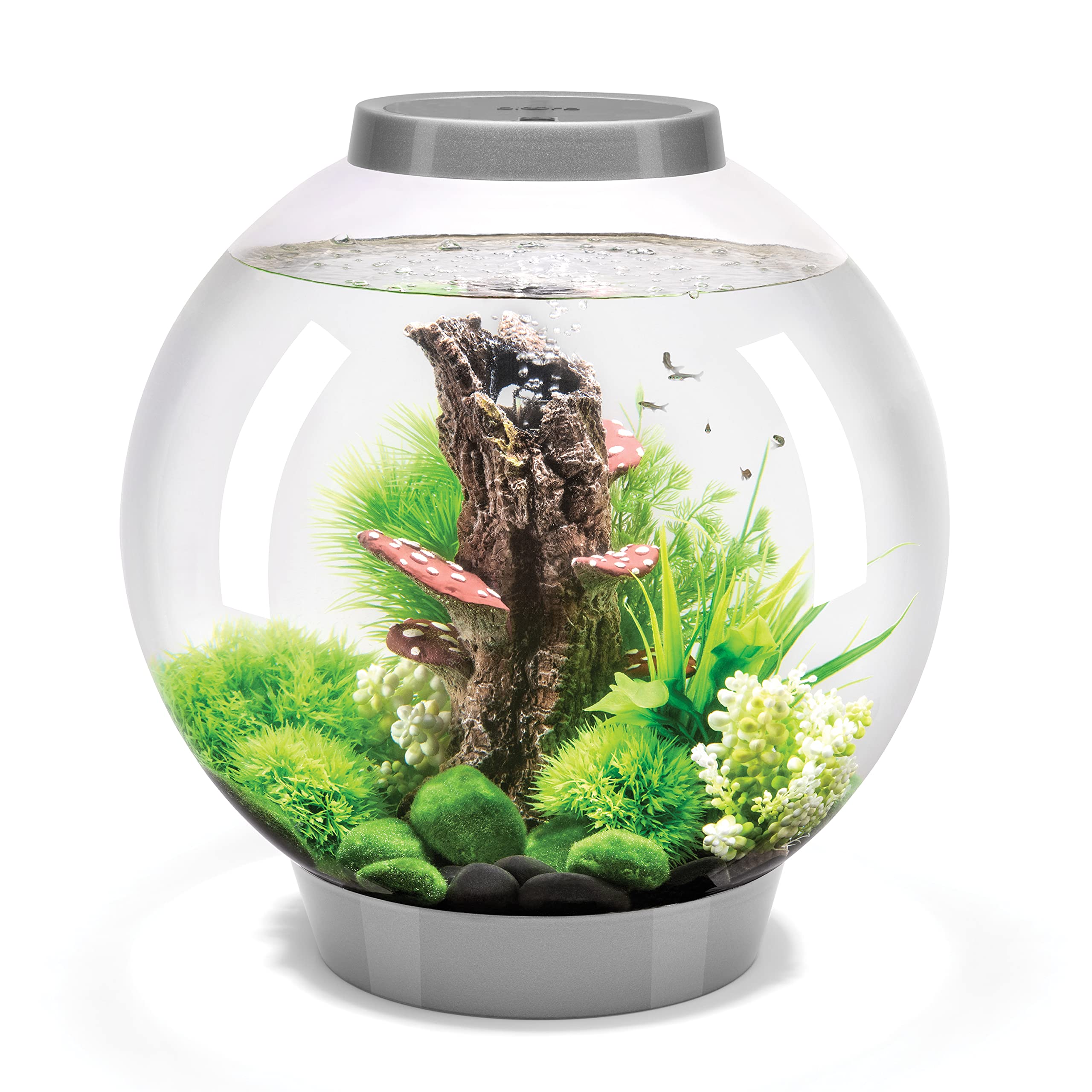 biOrb Classic 30 Acrylic 8-Gallon Aquarium with White LED Lights Modern ...
