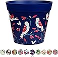 Hum Flowerpots Blue Birds Plant Pot, Indoor/Outdoor Planter: Amazon.co ...