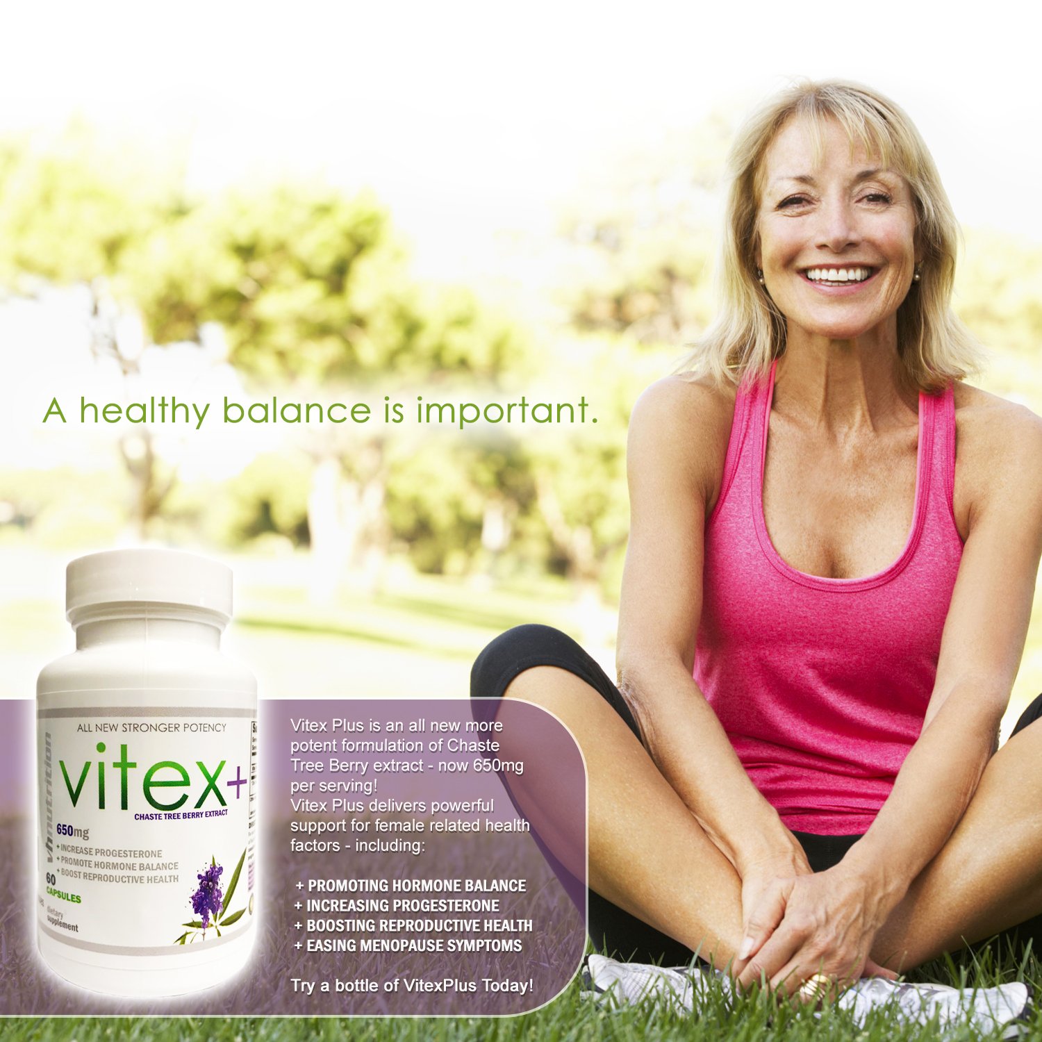VH Nutrition VITEX+ | Vitex Chasteberry Supplement for Women for ...