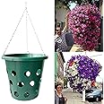 Amazon.com: Bloom Master Hanging Baskets - 6 Gallon (1 Pack) - Large ...