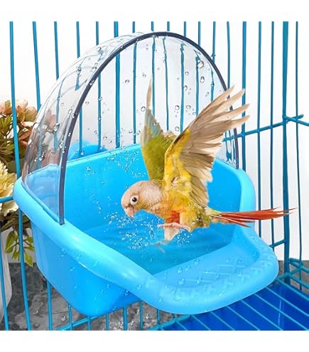 Vision Bird Bath