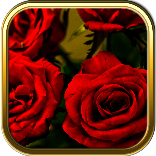 Rose Garden Jigsaw Puzzle Games:Amazon.com:Appstore for Android