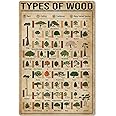 Amazon.com: JIUFOTK Carpenter Poster Metal Tin Sign Types of Wood ...