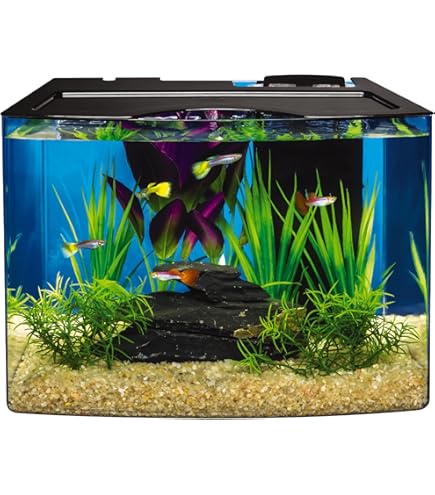 Aqueon 36 Bow Front Aquarium