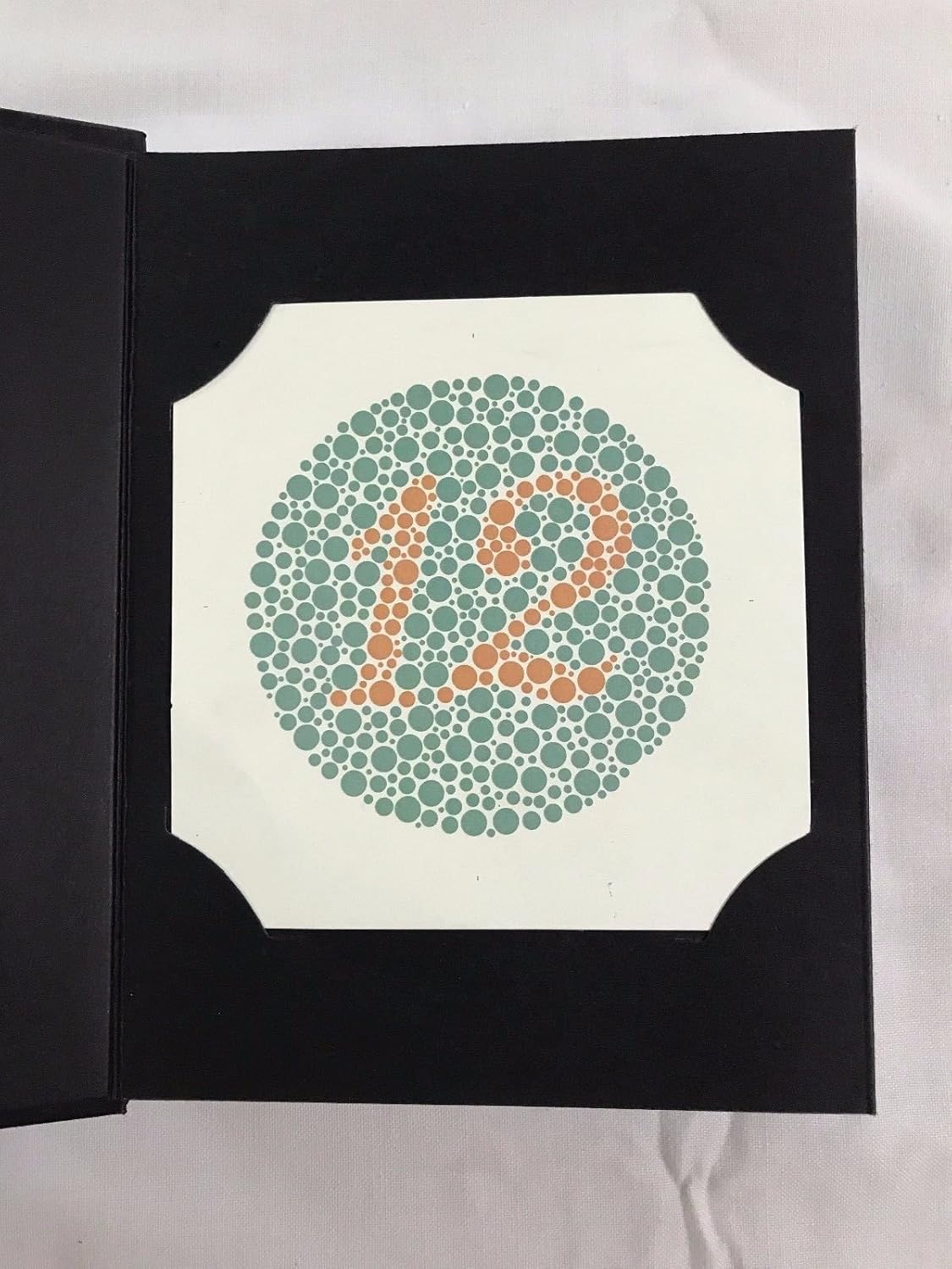 Ishihara Color Vision Book 24 Plates with Eye Occluder (Combo Pack ...