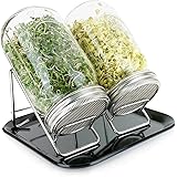 Amazon.com: GEO Sprouting Jar - Italian Design - Glass Jar with ...