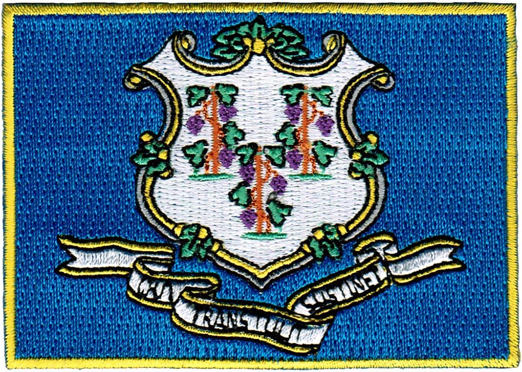 Connecticut State Flag Embroidered Patch Iron-On CT Emblem at Amazon ...