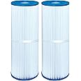Amazon.com: Chryseos Spa Filter Compatible with PRB25-IN, C-4326, FC ...