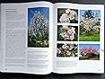 The Tree Book: Superior Selections for Landscapes, Streetscapes, and Gardens: Dirr, Michael A ...