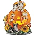 Amazon.com: Collections Etc Hand-Painted LED Lighted Pumpkin Cats ...