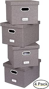 Amazon.com : Internet's Best Collapsible File Storage Organizer with ...