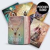 The Spirit Animal Oracle: A 68-Card Deck - Animal Spirit Cards with Guidebook: Baron-Reid ...