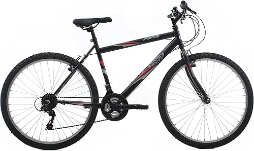 Raleigh Activ Flyte II Mountain Bike - Best Bike Guide