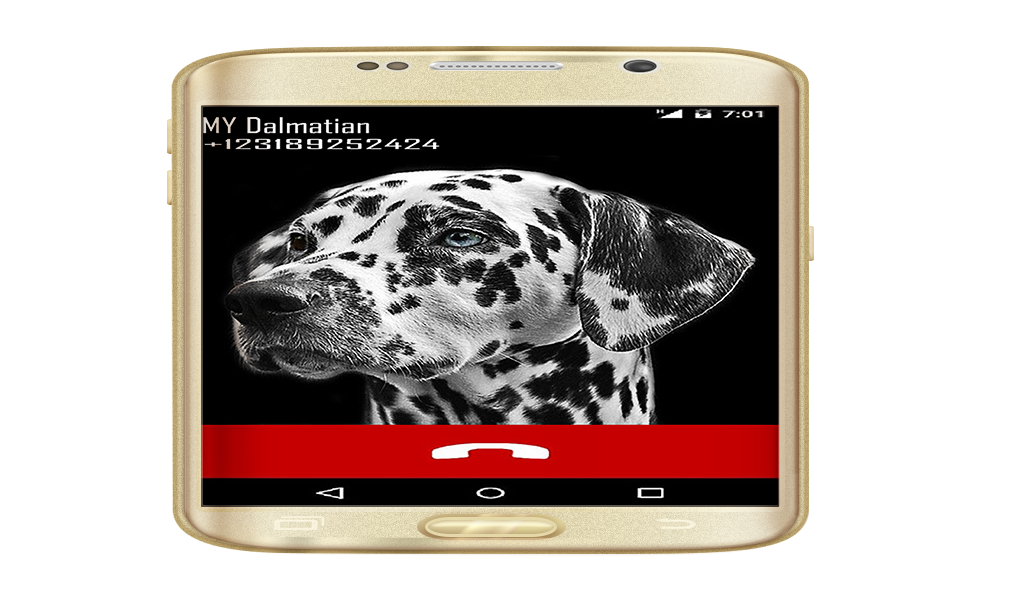 Dalmatian Fake Call Prank ( Funny Pet Calling Prank ) - Gag fake Prank ...