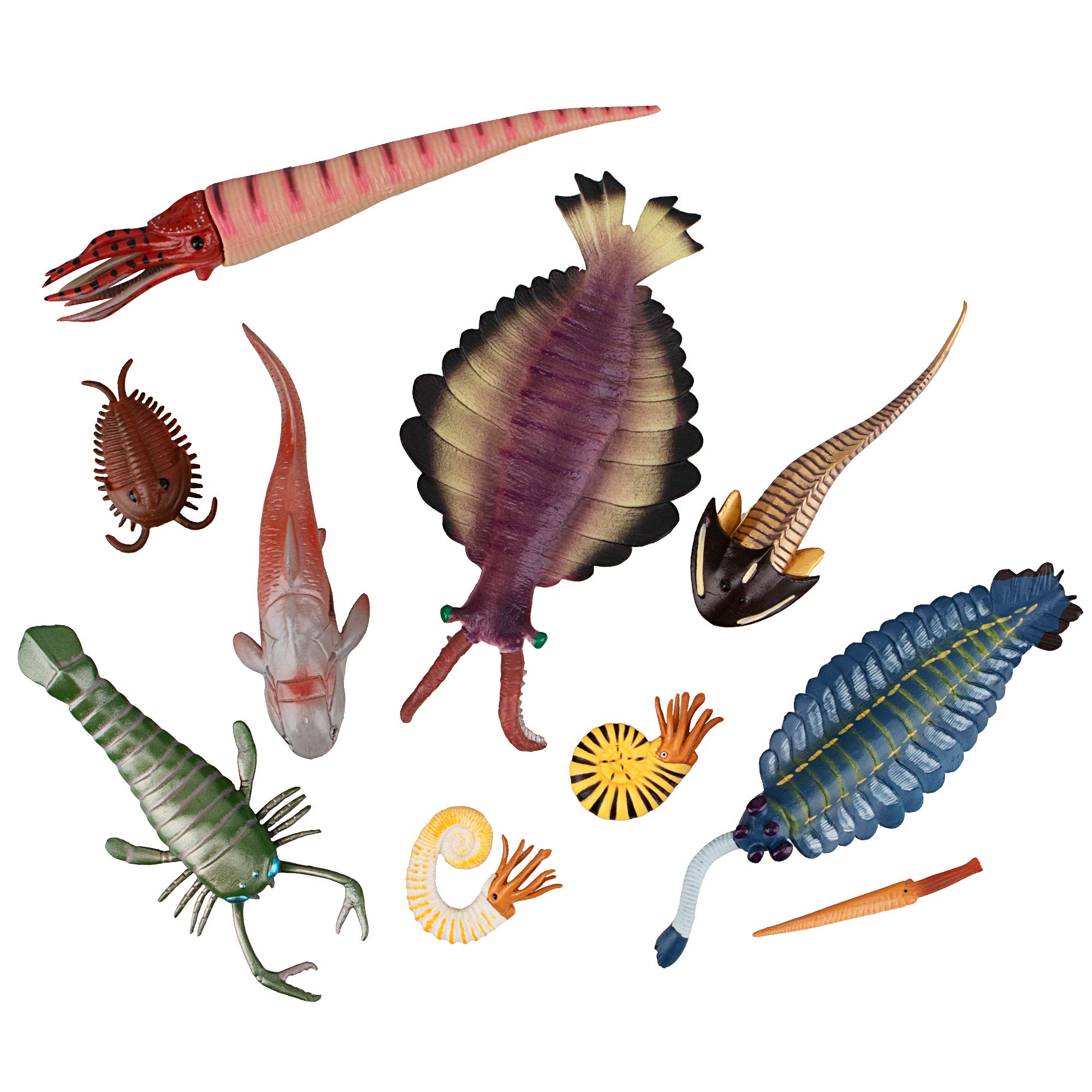 Mua Toymany 10PCS Ancient Marine Creatures, Cambrian Sea Animal ...