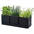Amazon.com : D'vine Dev Herb Garden Planter Set, Plastic Plant Pots ...