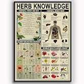 Amazon.com: Herb Knowledge Metal Signs Wall Decor Herbal First Aid Kit ...