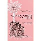 Advent: Preparation, Anticipation, & Hope in Christ's Coming: McDonald ...